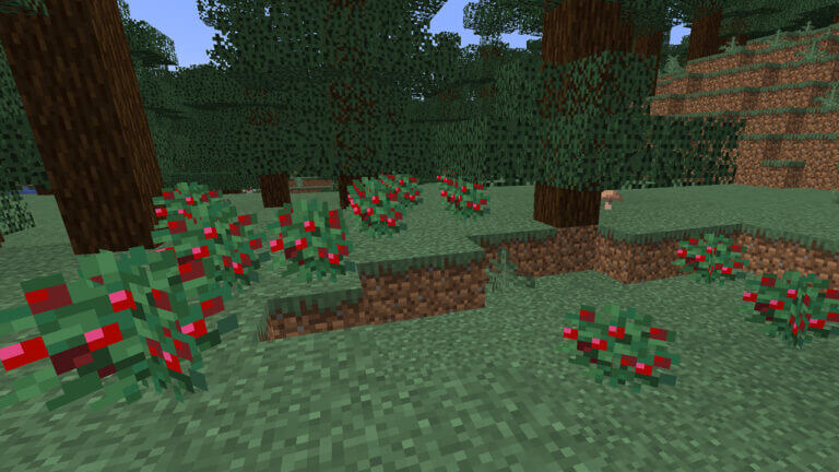 Minecraft: How to Find and Grow Sweet Berries | The Nerd Stash