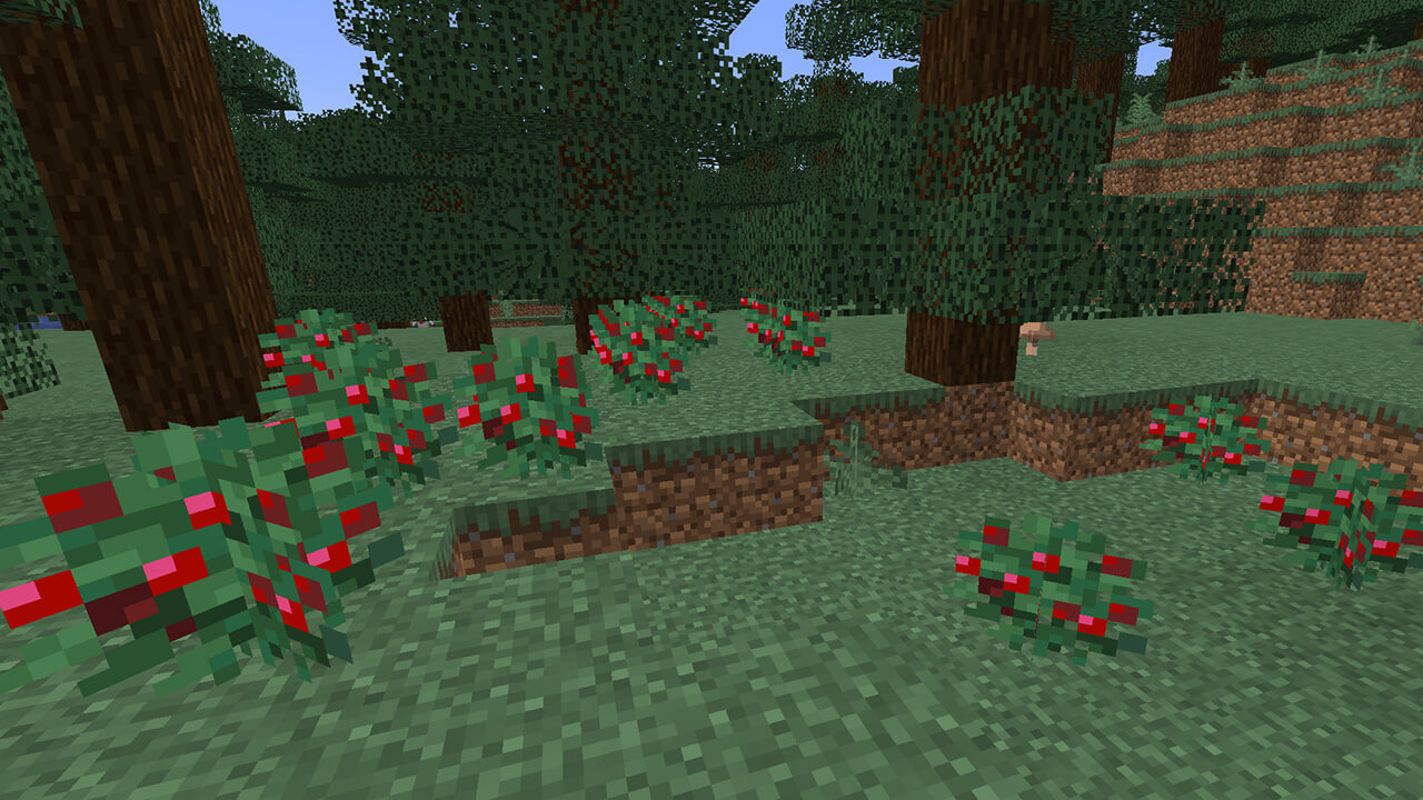 Minecraft: How to Find and Grow Sweet Berries | The Nerd Stash