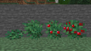 Minecraft: How to Find and Grow Sweet Berries | The Nerd Stash