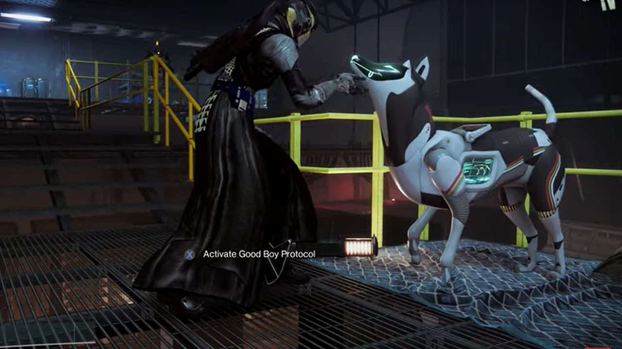 How To Find And Pet The Mechanical Dog In Destiny 2