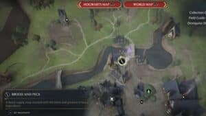 How to Sell Beasts in Hogwarts Legacy | The Nerd Stash