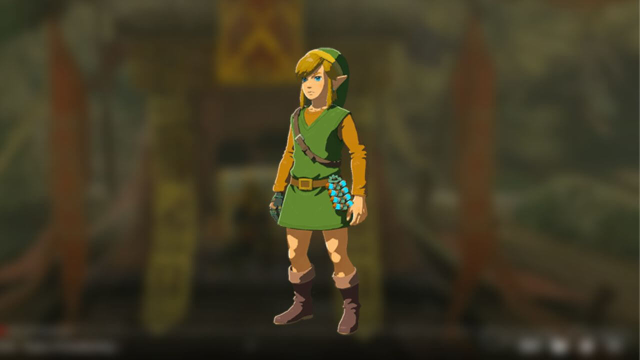 The Hero of Awakening set in Zelda Tears of the Kingdom