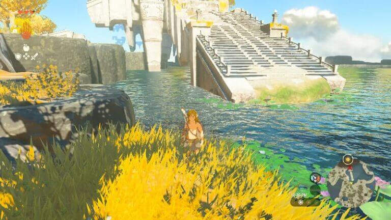 How To Get Swift Violets in Zelda Tears of the Kingdom