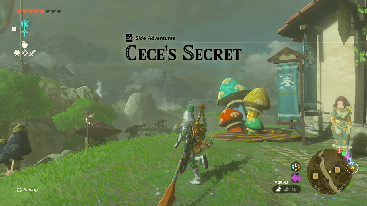 How To Complete Cece's Secret in Zelda Tears of the Kingdom