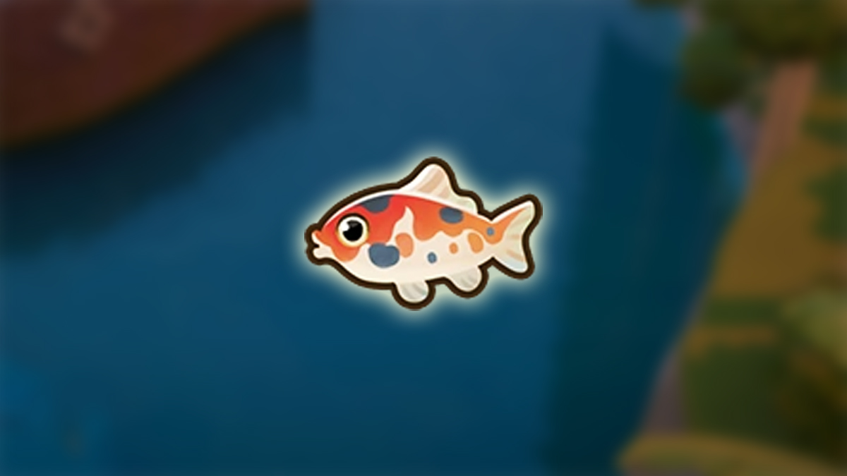 How To Catch (& Use) Koi in Coral Island | The Nerd Stash