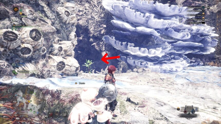 All Coral Highlands Camp Locations in Monster Hunter World | The Nerd Stash