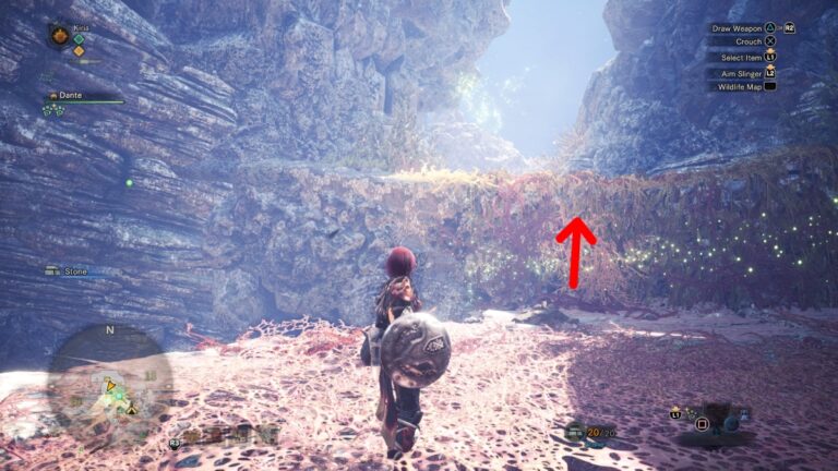 All Coral Highlands Camp Locations in Monster Hunter World | The Nerd Stash