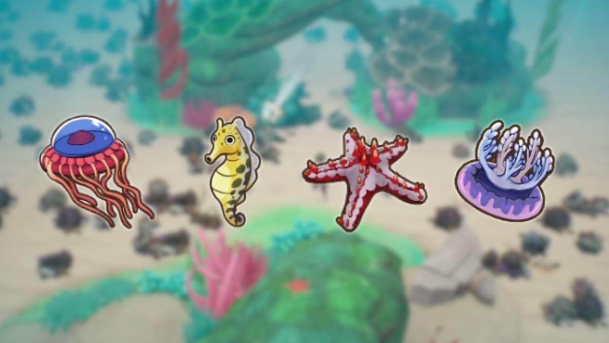 All Coral Island Sea Critters & How to Catch Them | The Nerd Stash