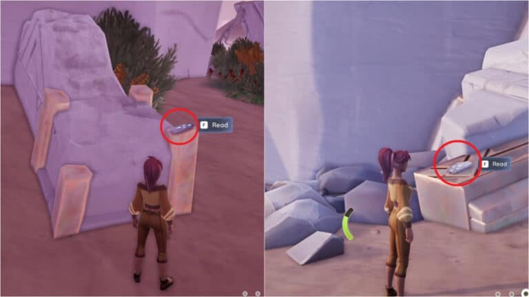 All Proof of Magic Locations in Palia | The Nerd Stash