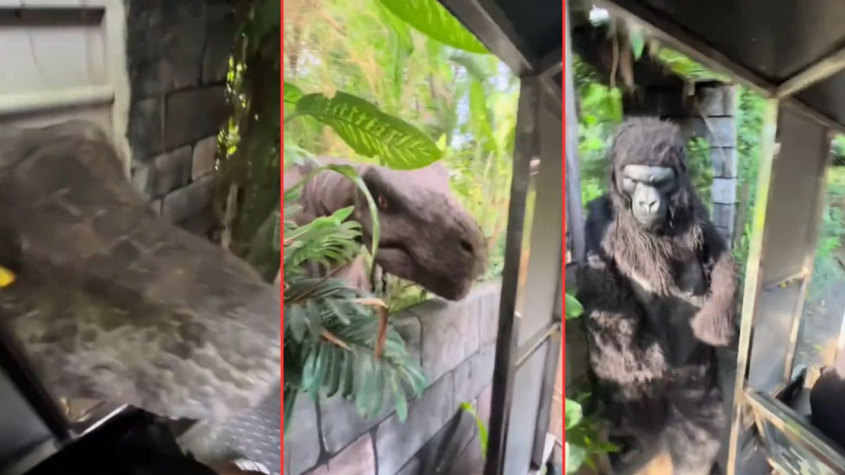 Viral Video Shows Insane Dinosaur-Themed Amusement Park Ride: 'Bruh ...