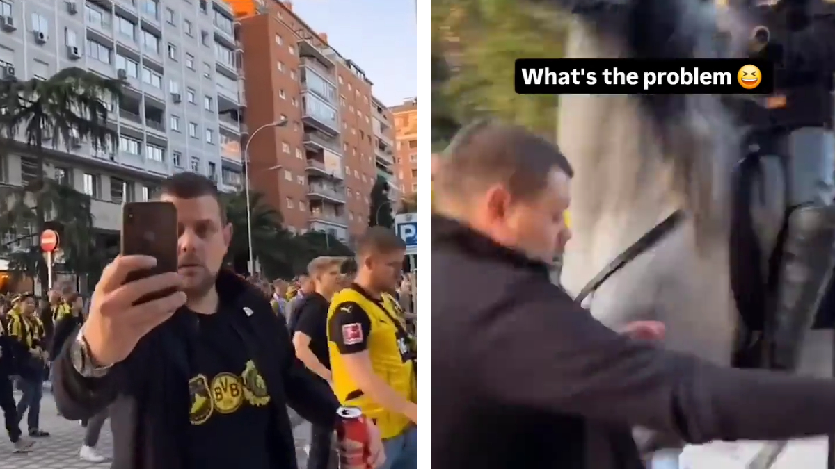 Horse De-Escalates Problem by Bodychecking a Man: 'He Doesn't Horse ...