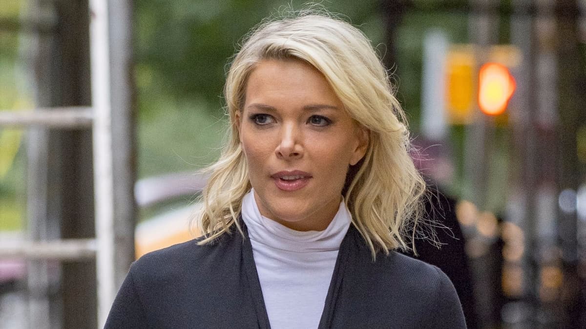 Megyn Kelly Blasts ABC News Anchor David Muir for 'Pretending to Be a ...