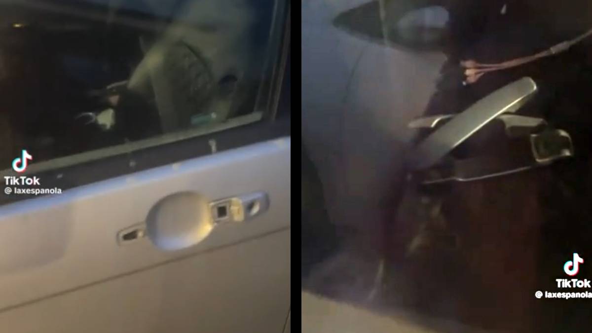 Seattle Woman Can't Use Her Car Because Her Ex Ripped off All the ...