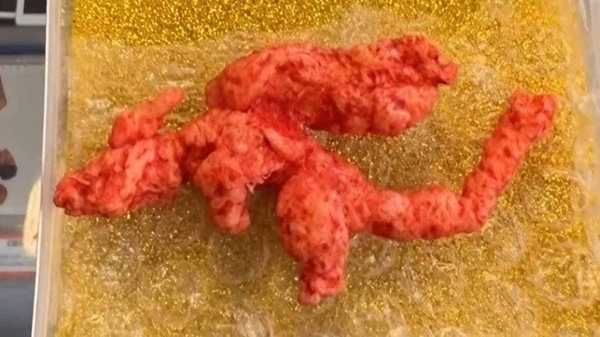 Pokemon-Shaped Flamin' Hot Cheetos, 'Cheetozard' Gets Sold for $88,000 ...