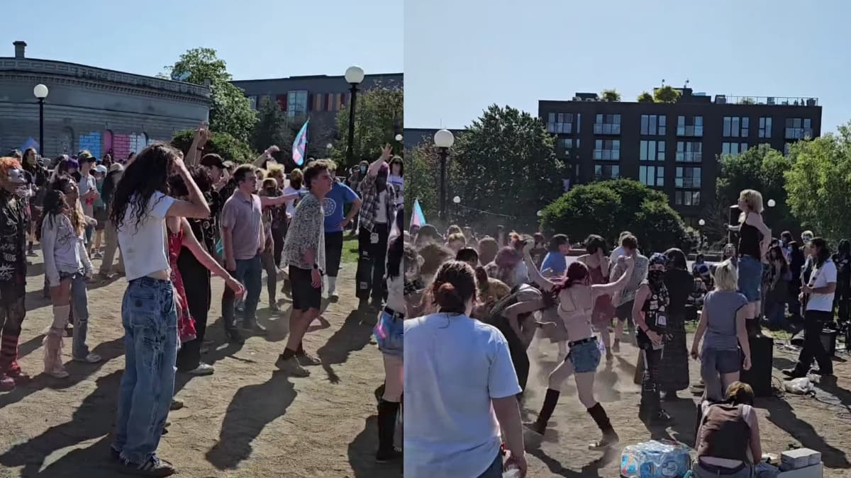 Seattle’s Young Rebels Counter Fascist Protests with Punk Show: ‘Proud ...