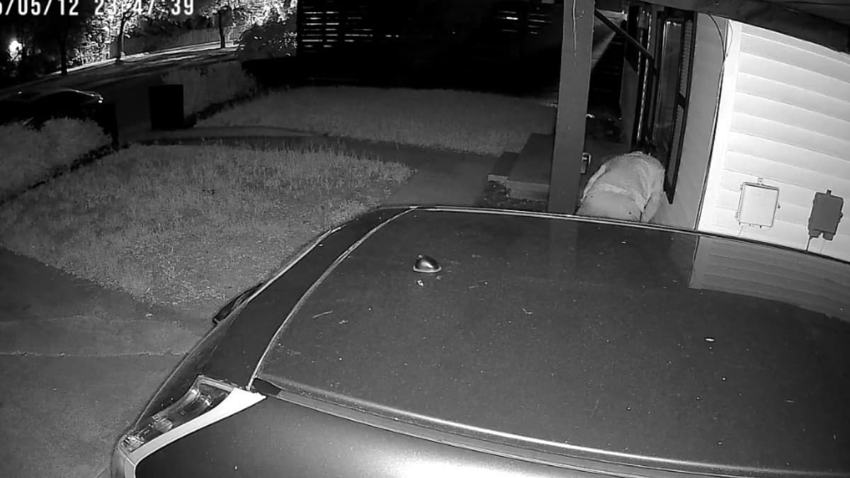 Texas Creep Looks In Couple’s Window During Night Leaving Them Terrified: ‘Is That a Turkey Leg ...