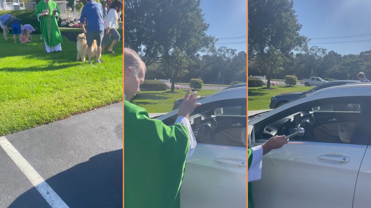 New Jersey Dad Gets Priest to Bless Cat: 'Just Two Grown Men Giggling ...